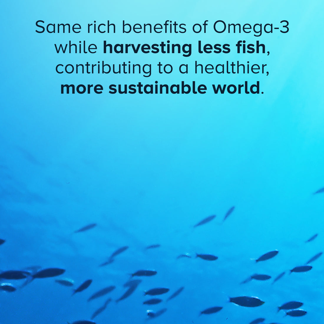 Advanced Omega-3 Krill & Fish Oil Softgels, 250mg | Qunol