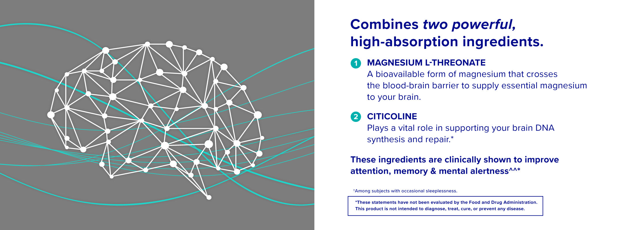 Brain Health Memory Plus + B6
